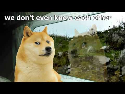 doomer doge - YouTube