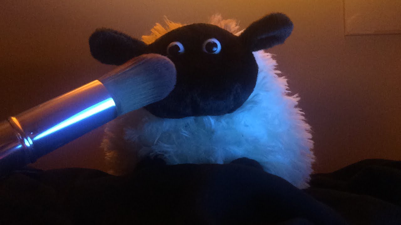 ASMR Sheep face brushing + whispering - YouTube