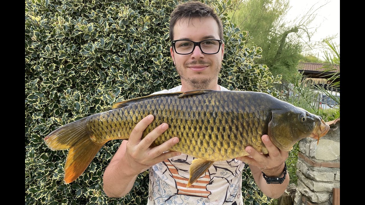 Monster Carp - Carp Fishing - Carpfishing - Pesca alla Carpa - YouTube