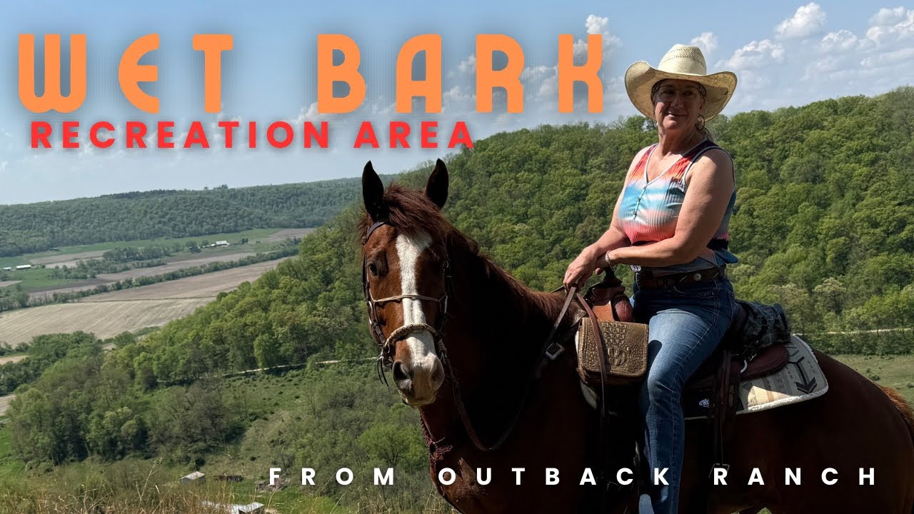 Wet Bark Recreation Area on Horseback Near Houston, MN and Outback ...