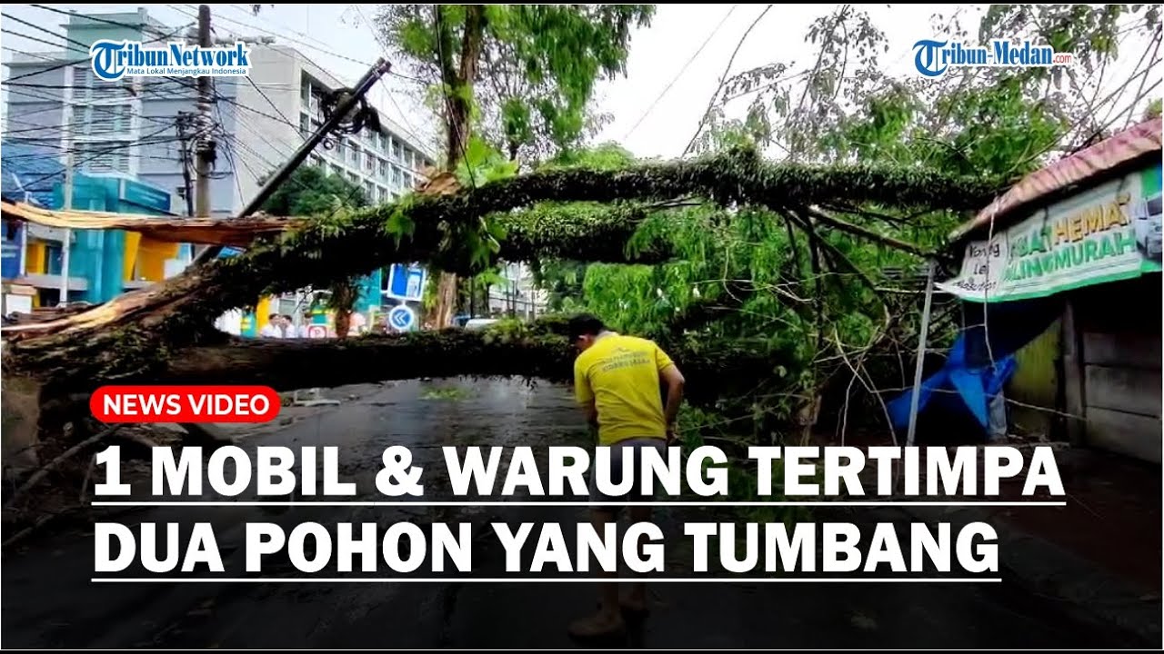 1 Mobil dan Warung Tertimpa Dua Pohon yang Tumbang di Jalan Listrik ...