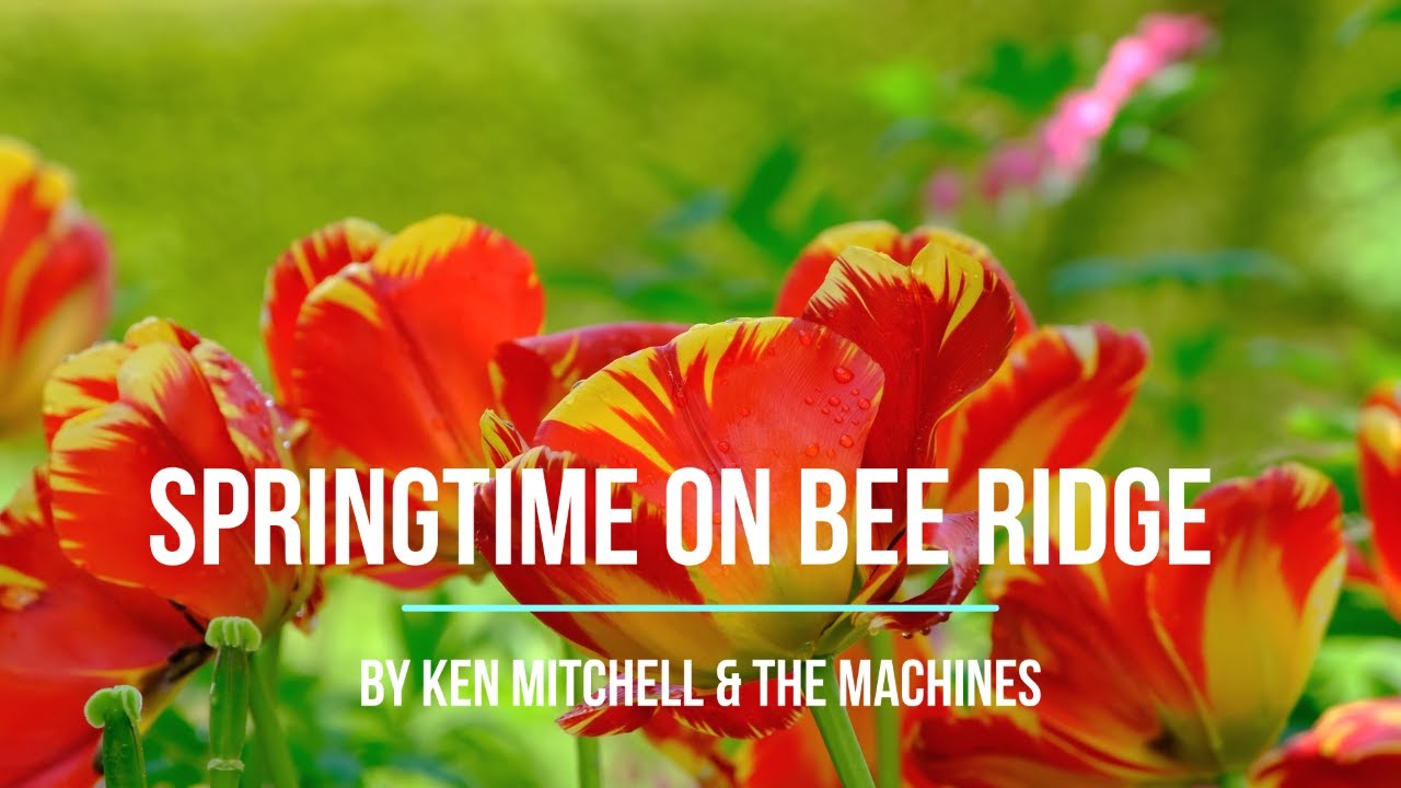 Springtime On Bee Ridge - YouTube