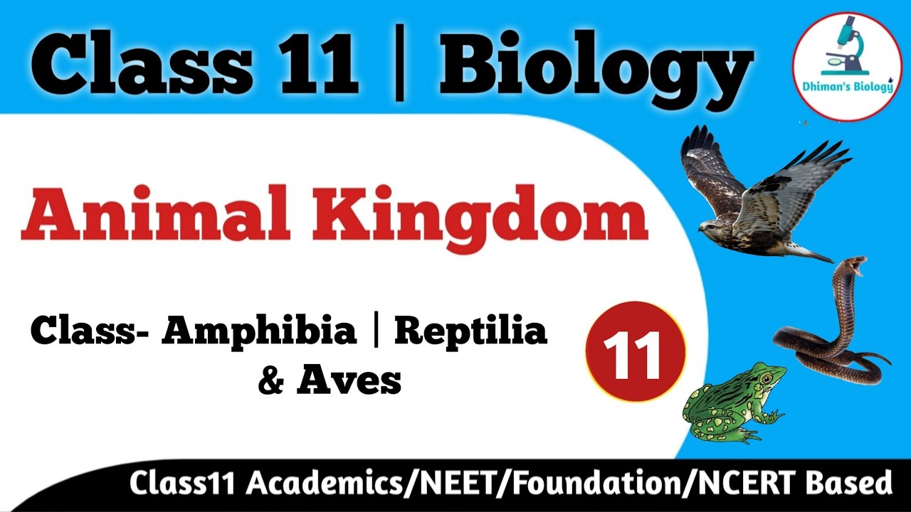 Class Amphibia | Reptilia | Aves | Animal kingdom | Class 11 Biology ...
