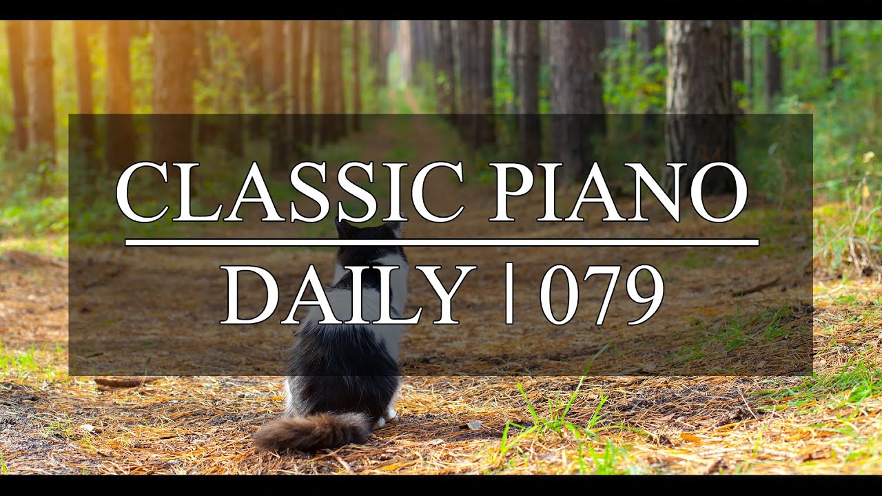 Classic Piano | Daily | 079 - YouTube