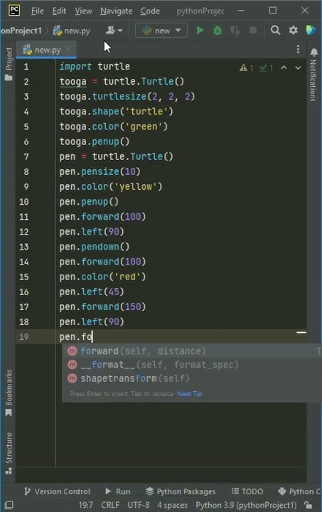 Python Program To Draw Home Pythonprojects Pythonprogramming Shorts Youtube