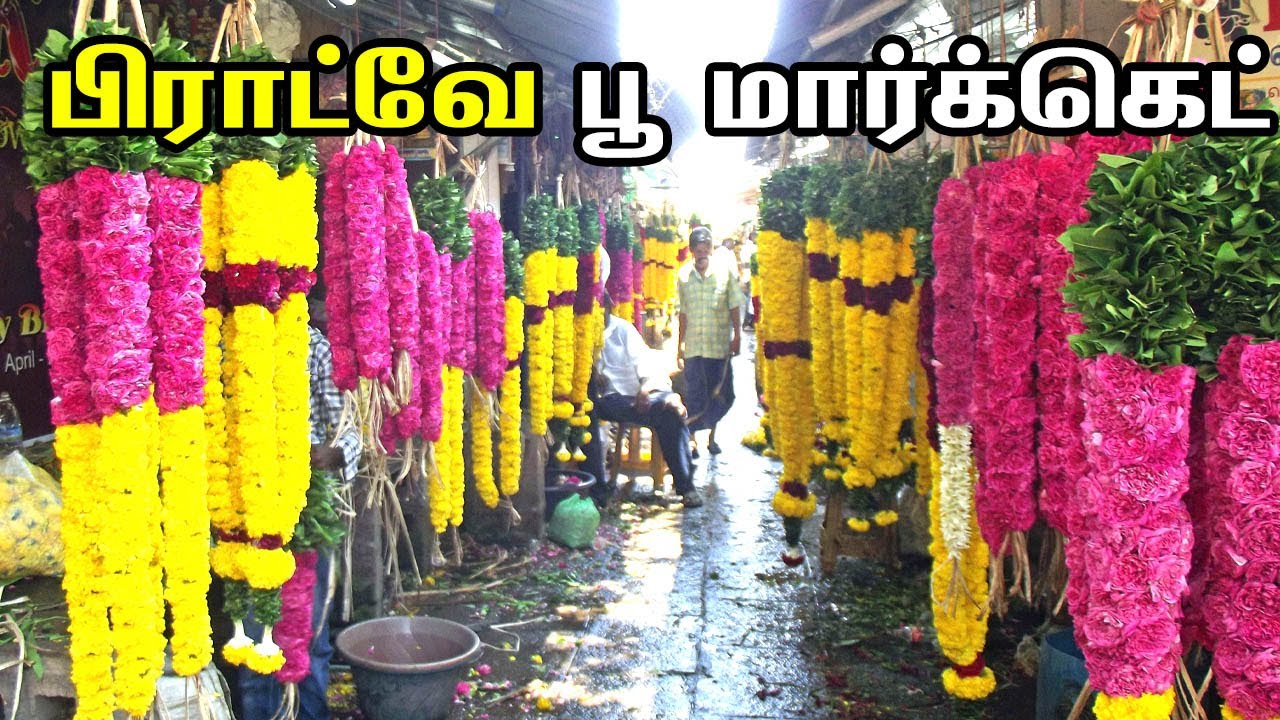 Flower Market Chennai | Pookadai | Broadway Market | பிராட்வே பூ ...