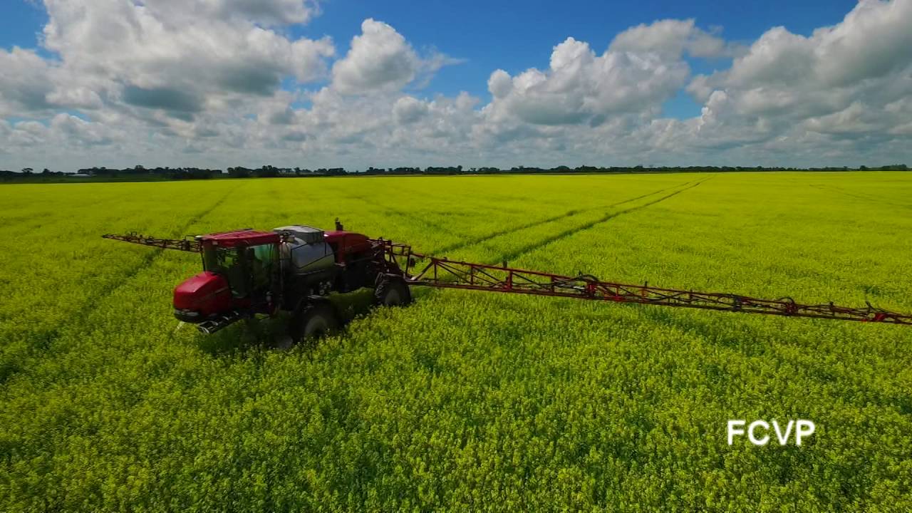 spraying Canola FCVP - YouTube