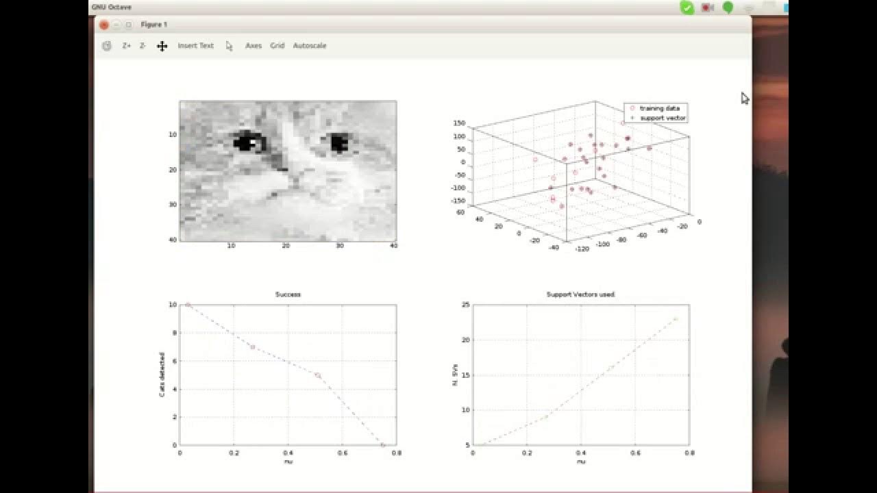 Machine Learning - SVM cats' face recognition - YouTube
