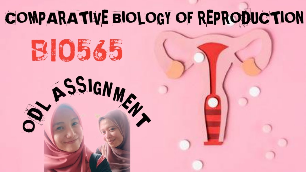Comparative Biology of Reproduction (BIO565) - Sexually Transmitted ...