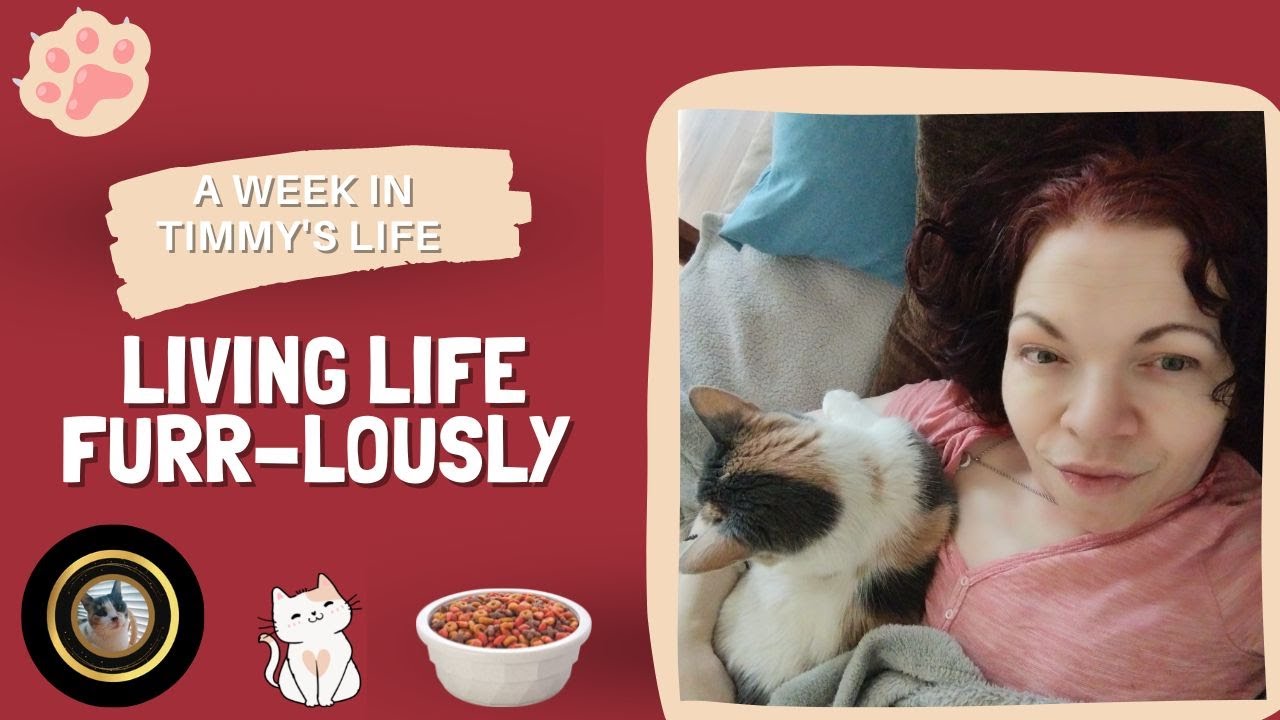 Living Life Furr-Lously | A Week In Timmy's Life (With @ThePixiePost ...