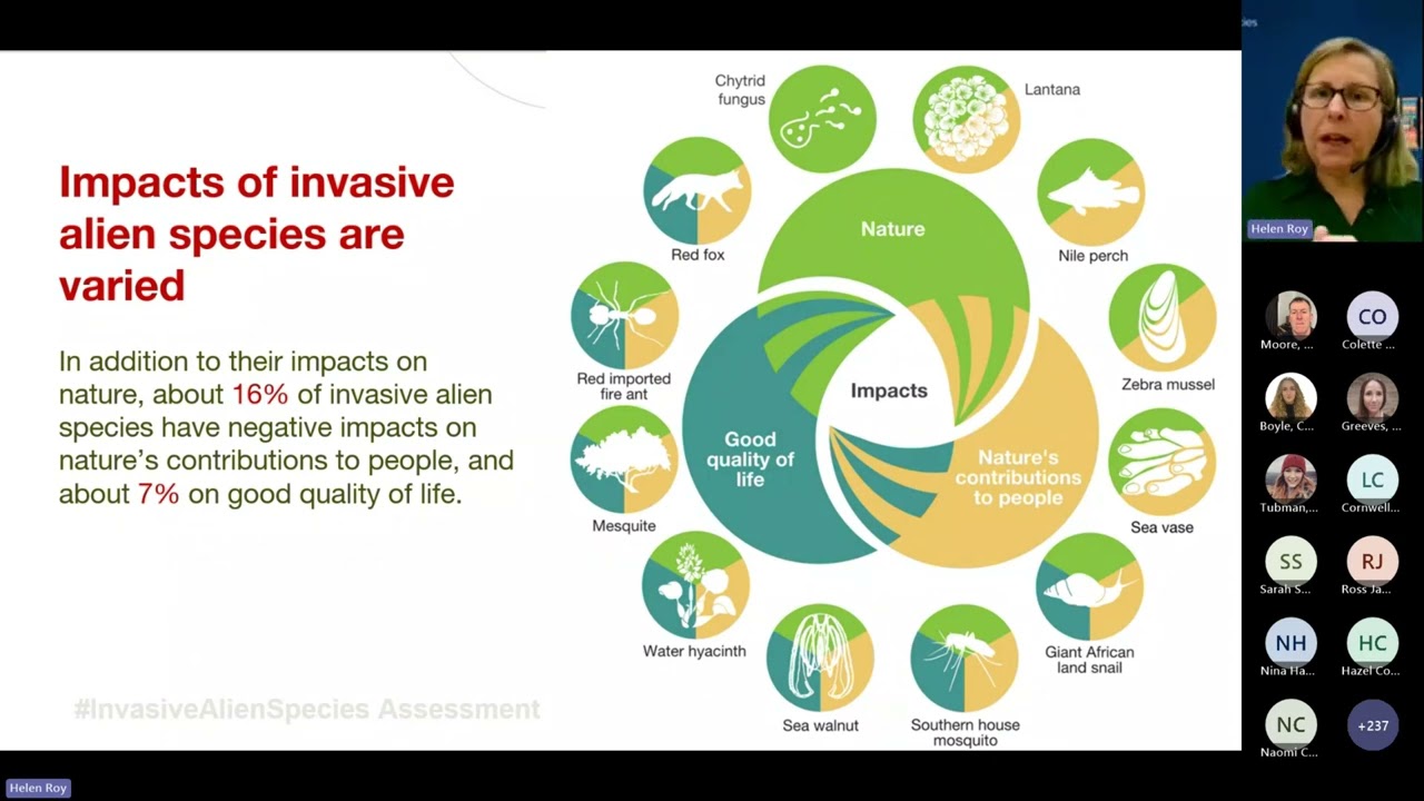 Invasive Alien Species Impact On Biodiversity Invasive Alien Species