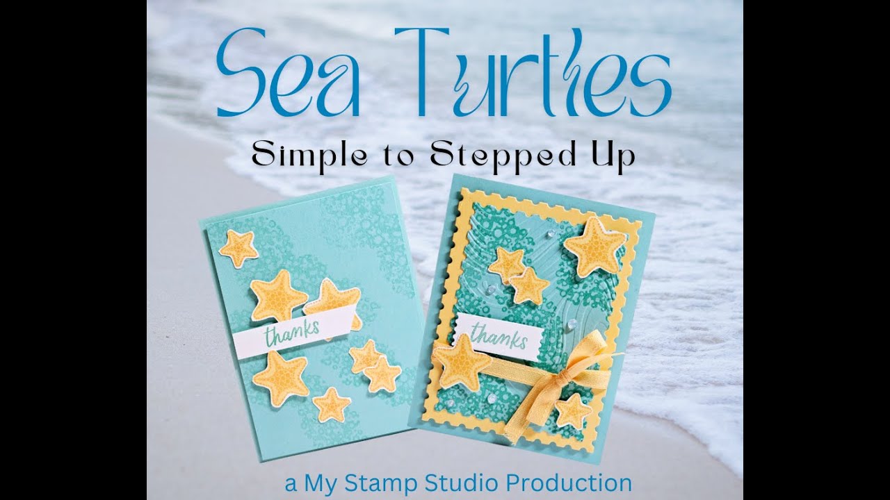 Sea Turtles Simple to Stepped Up - YouTube