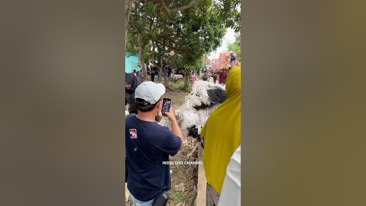 Cewek cantik takut can macanan - YouTube