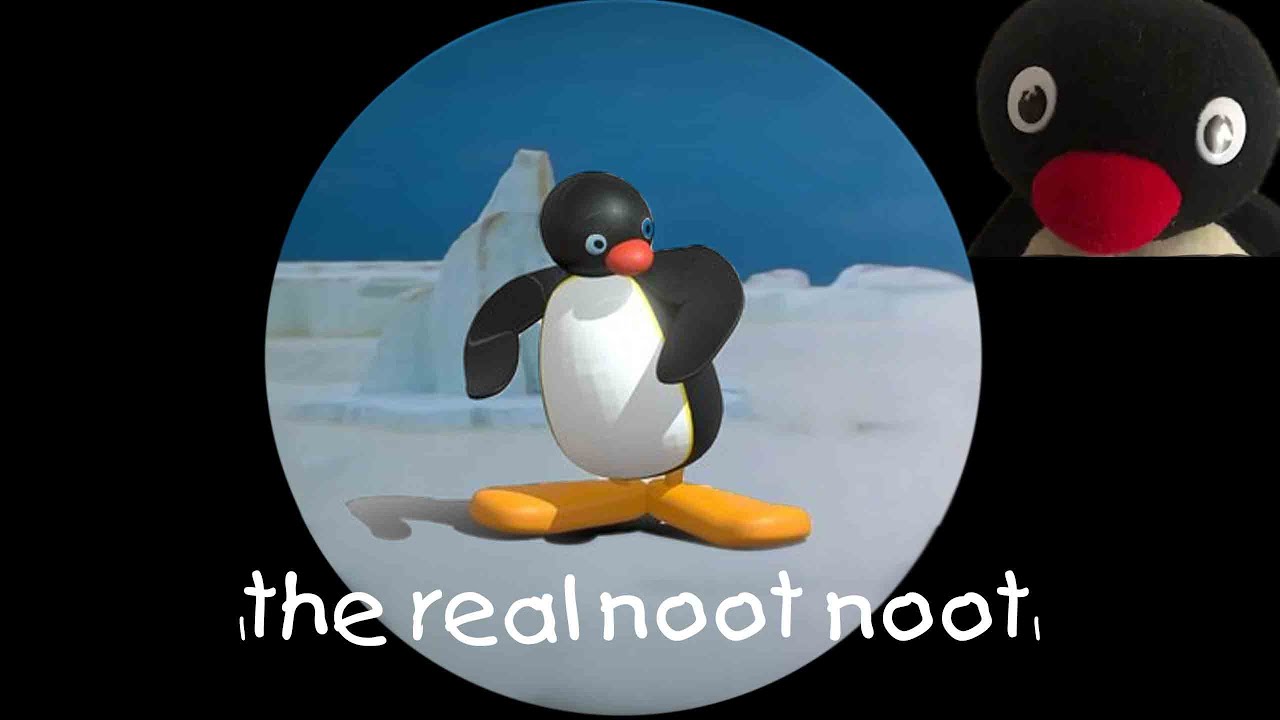 The Real Noot Noot - YouTube