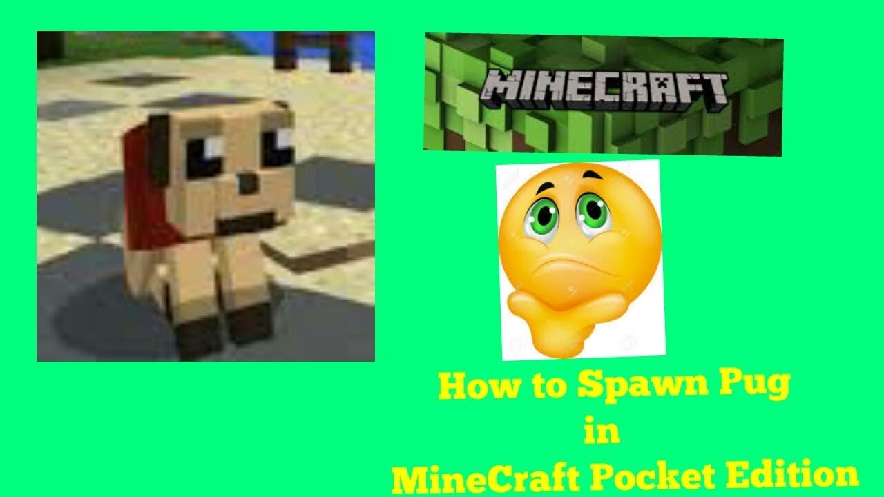 How to Spawn Pug in MineCraft PE - YouTube