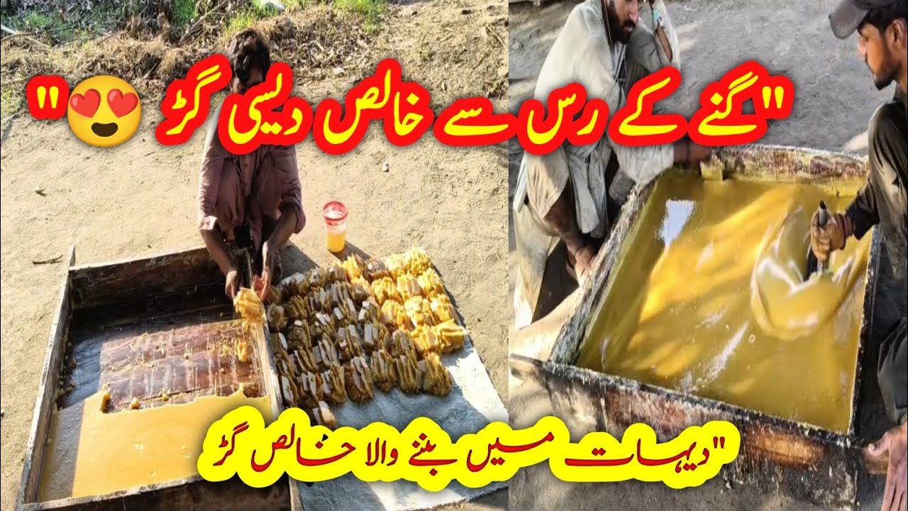 Pure Desi Jaggery from Sugarcane Juice 😍 | Pure Jaggery Making Process ...