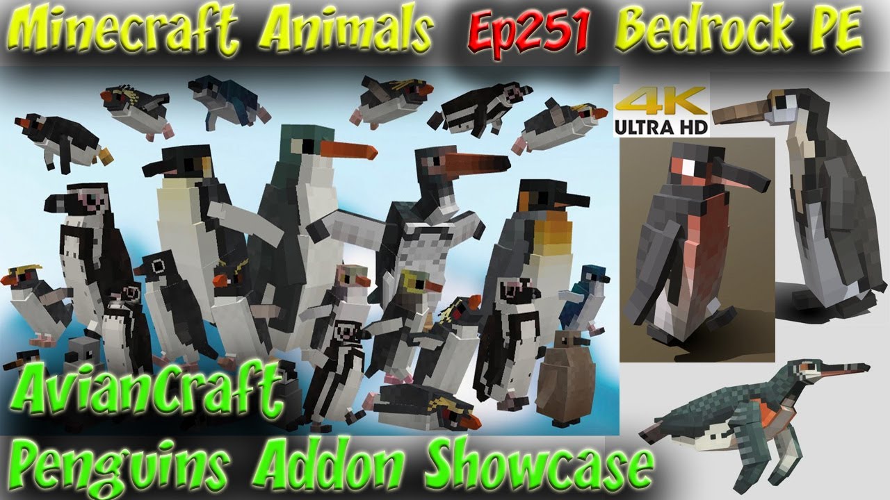 AvianCraft Addon Penguins Addon Updated Showcase Minecraft Bedrock PE ...