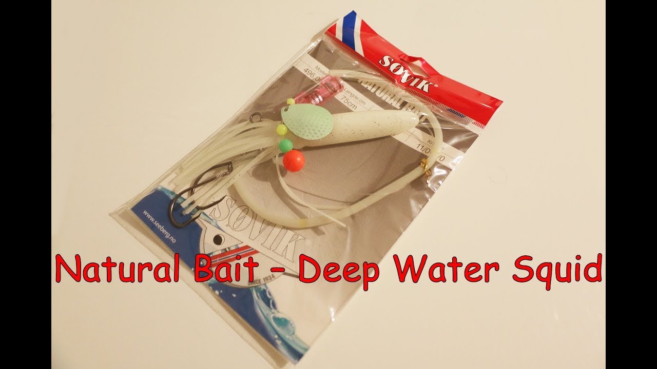 Natural Bait: Deep Water Squid - YouTube