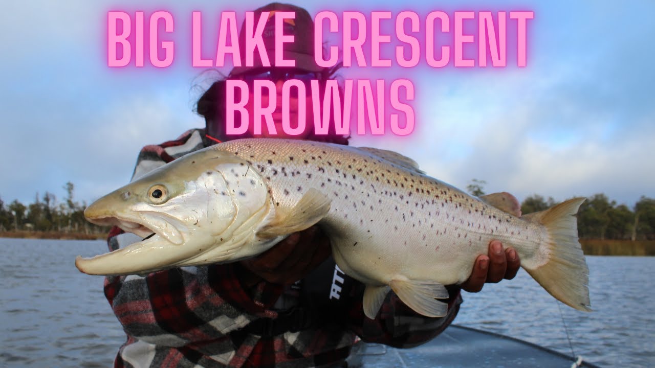 BIG LAKE CRESCENT TROUT and Lake Echo Disaster - YouTube