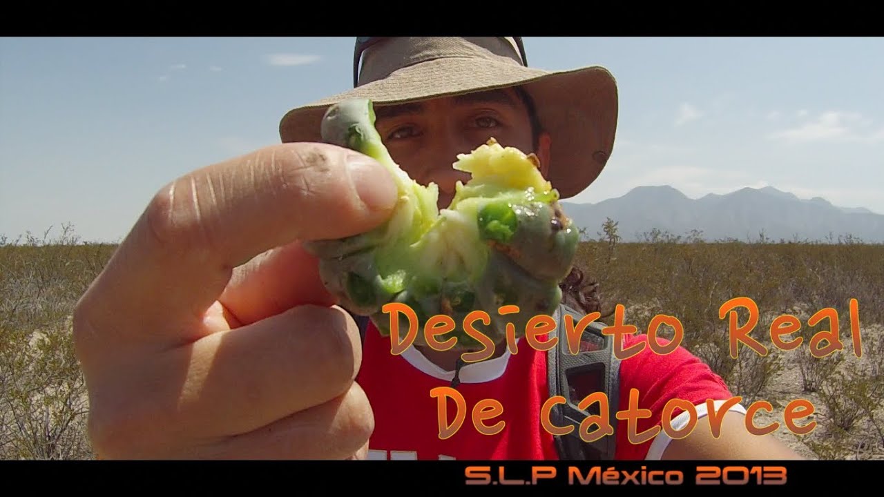 Desierto Real de Catorce (Peyote) S.L.P Mexico ViajandoporMexico - YouTube