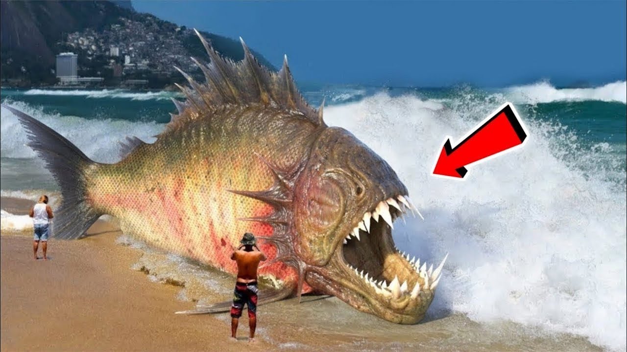 পৃথিবীর 7টি ভয়ানক মাছ, দশটা মানুষের সমান মাছ - top 7 dangerous fish in ...