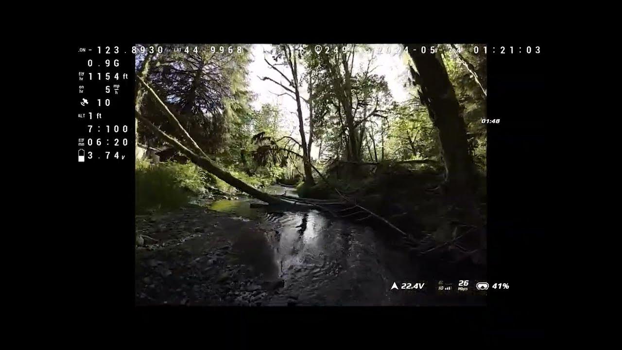 Jail Bait Youtube
