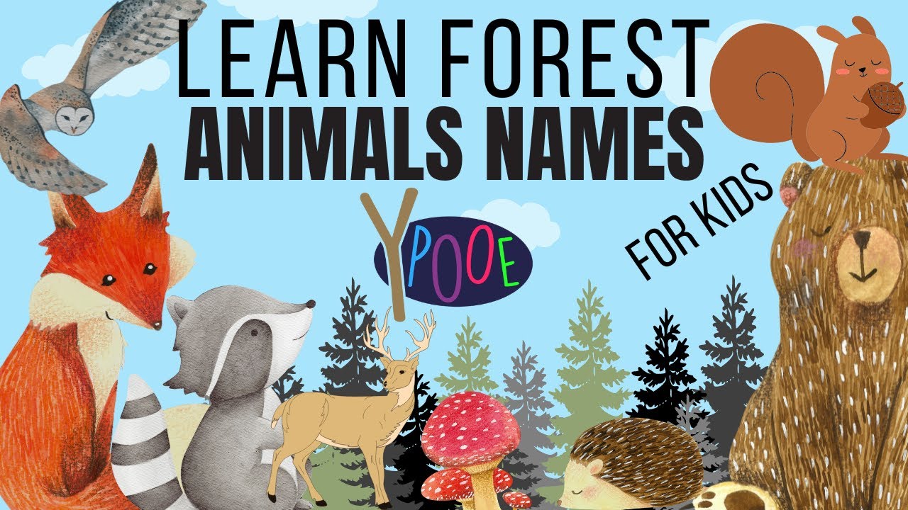 Learn Forest Animals Names for Kids - Educational Video - YouTube