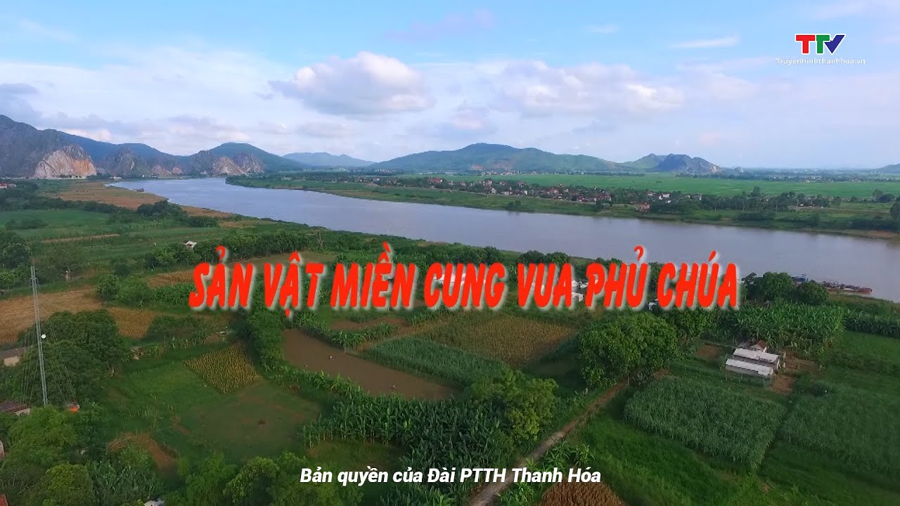 Phóng sự: Sản vật miền “cung Vua phủ Chúa” - YouTube
