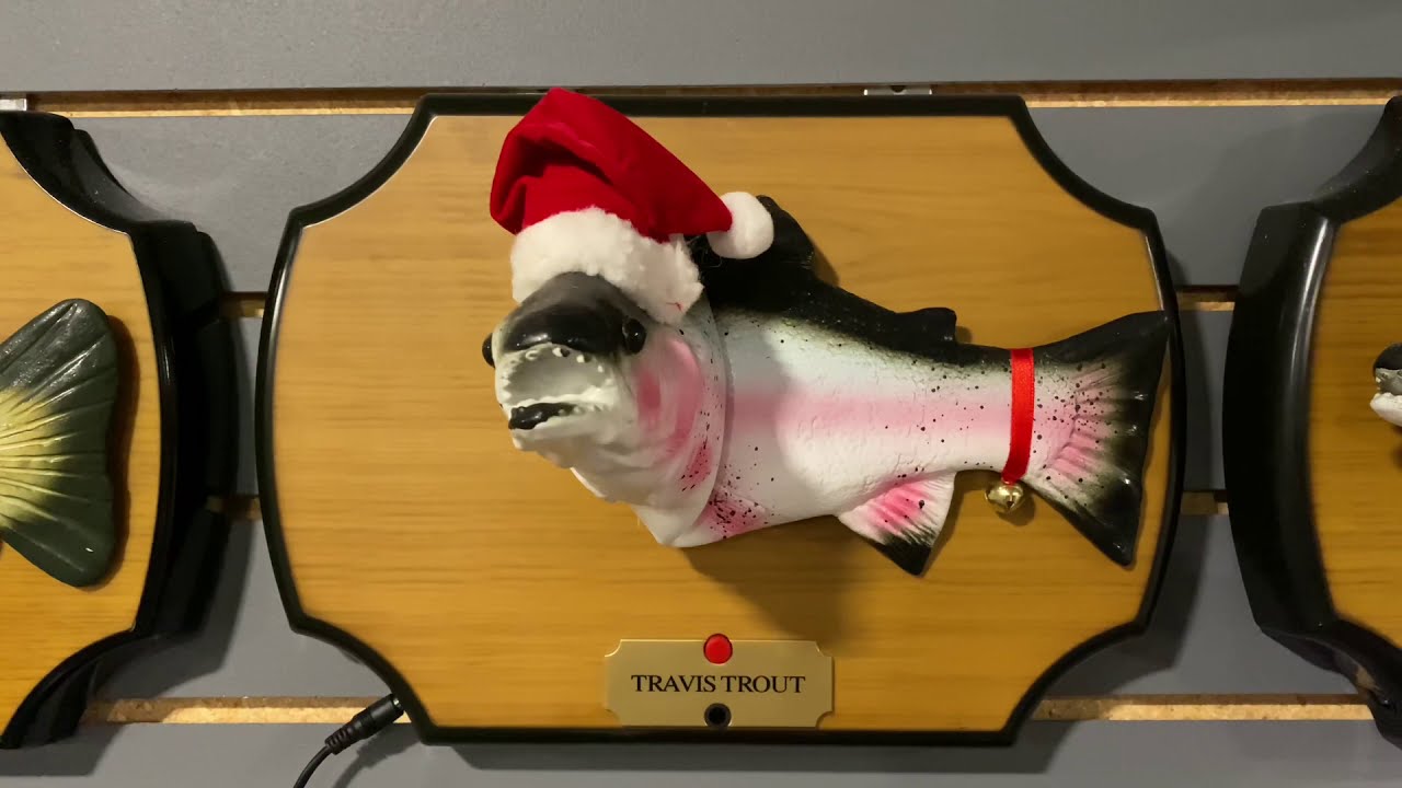 Travis Trout Christmas edition (Country version) - YouTube