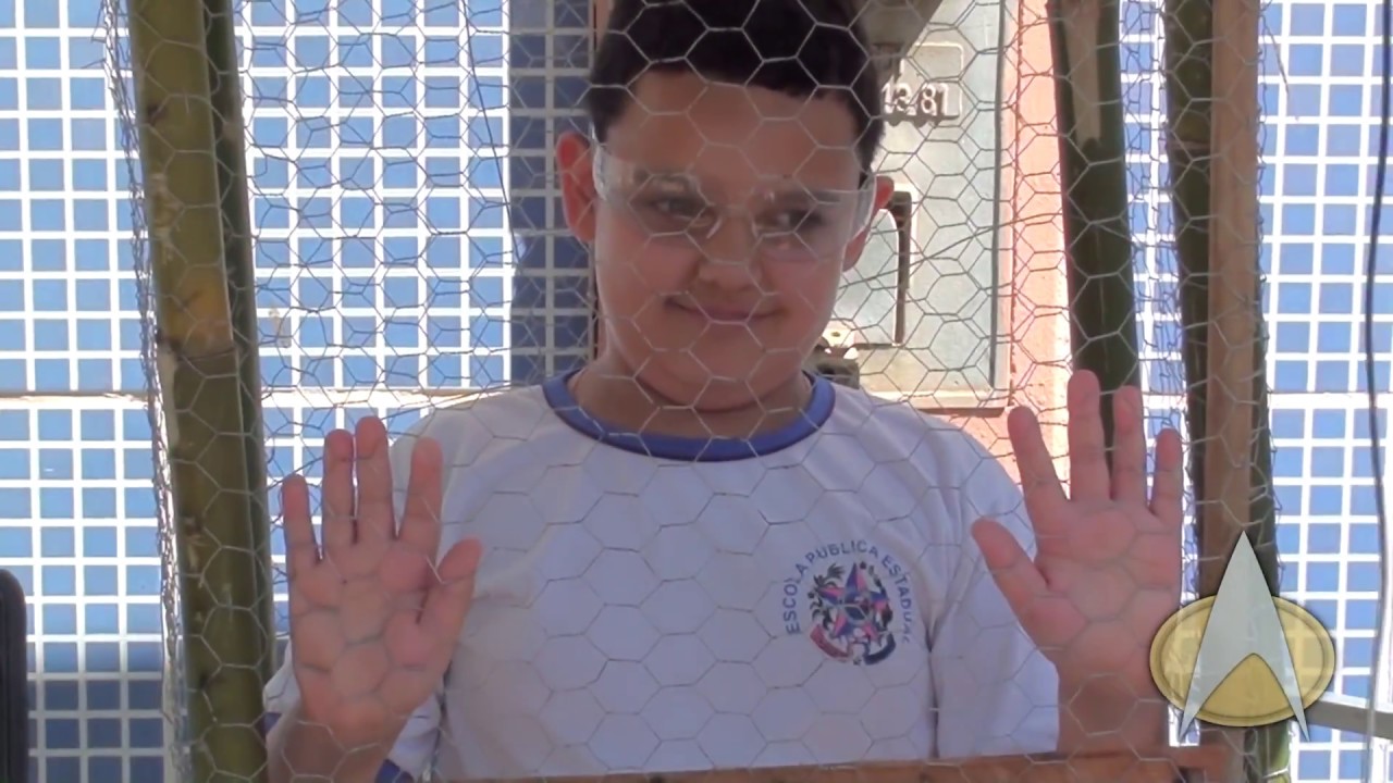 Veja como funciona: A gaiola de Faraday - YouTube