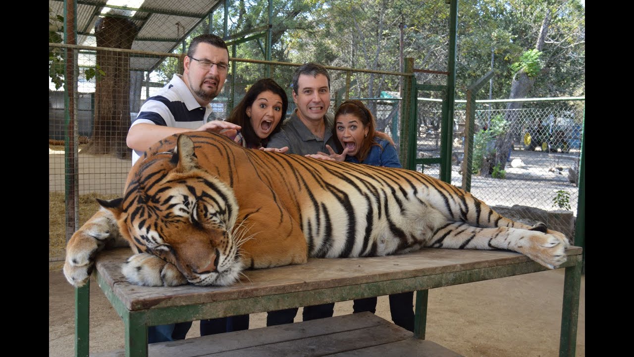 Visita ao Zoológico de Lujan em Buenos Aires, Argentina - YouTube
