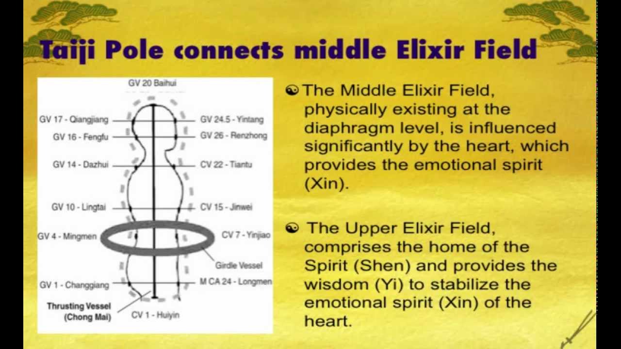 Spiritual Anatomy Taiji pole - YouTube