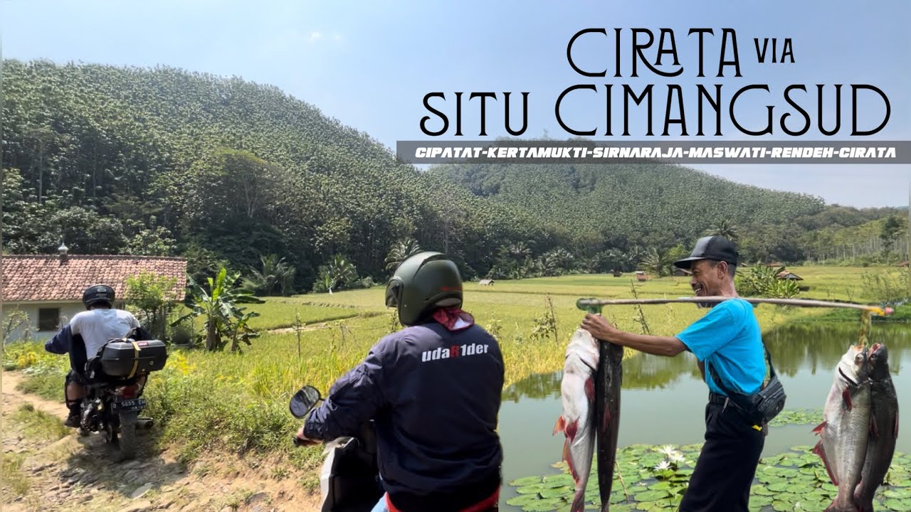 Cirata via Perkebunan Cimangsud, Ada Situ Mungil di Tengah Perbukitan ...