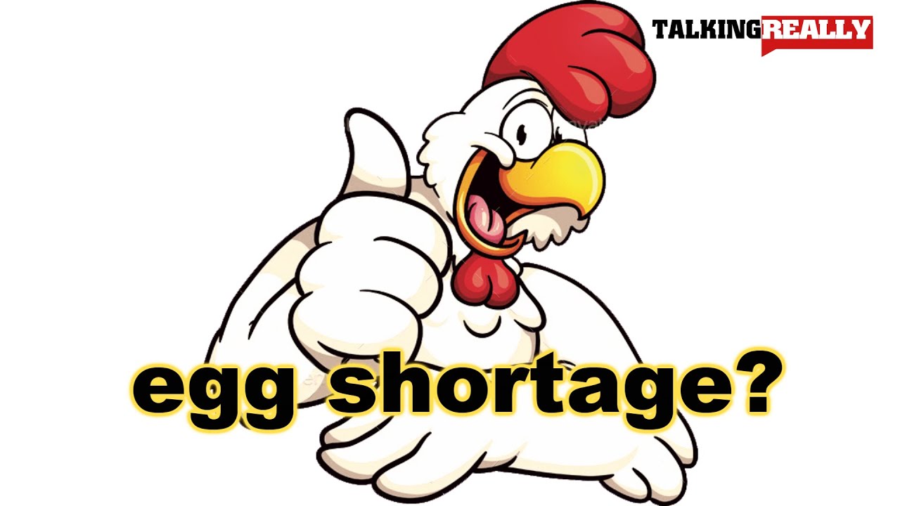 eggs shortage reason is it a conspiracy? | Talking Really Channel ...