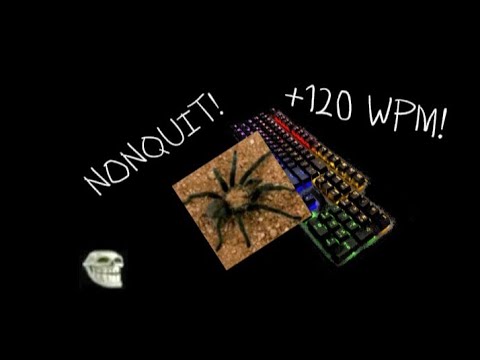 10 NONQUIT RACES (Typeracer) [Personal Best | FAST WPM!!] - YouTube