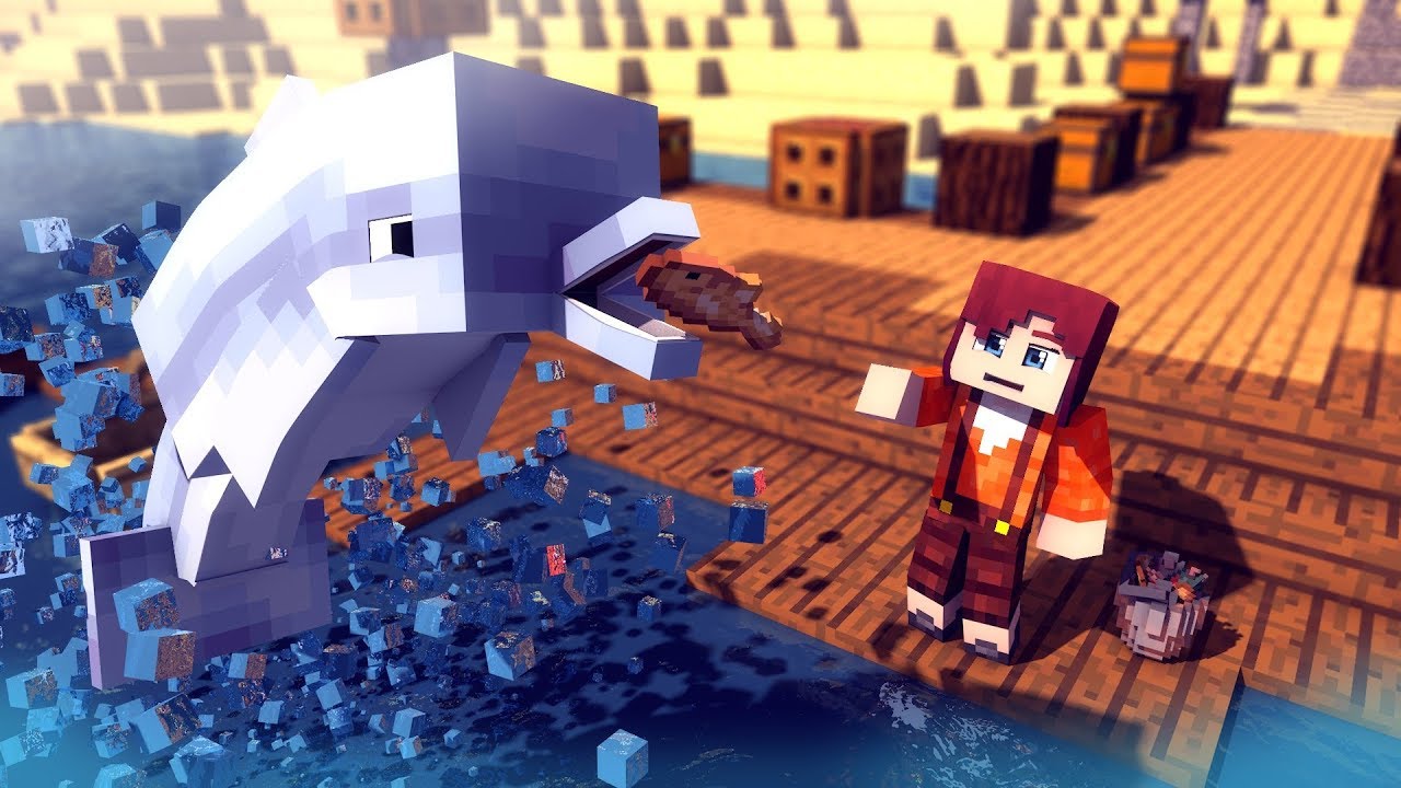 Dolphin Life | Minecraft Animation 1.13 - YouTube