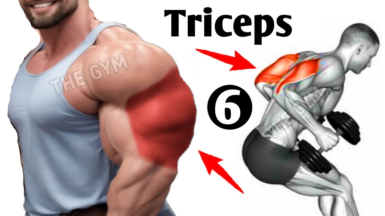 6 Build bigger triceps workout Routine ( effective ) - YouTube