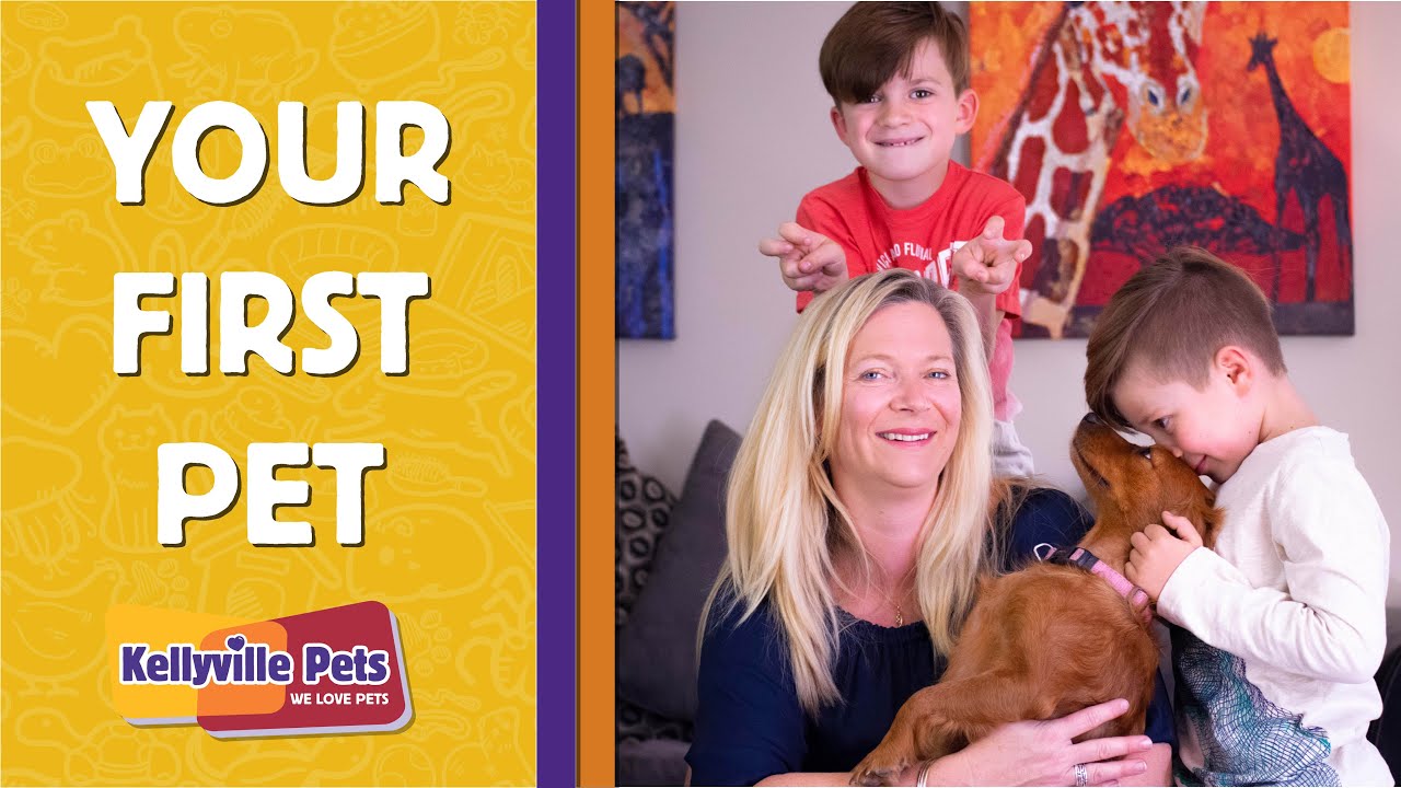 Your First Pet - YouTube