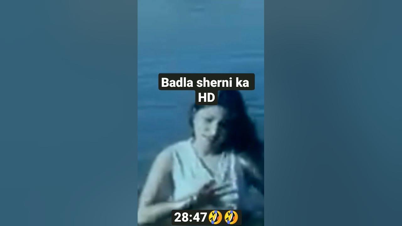 Badla Sherni Ka🤣clip Video2847 Shorts Viral Clips Youtube