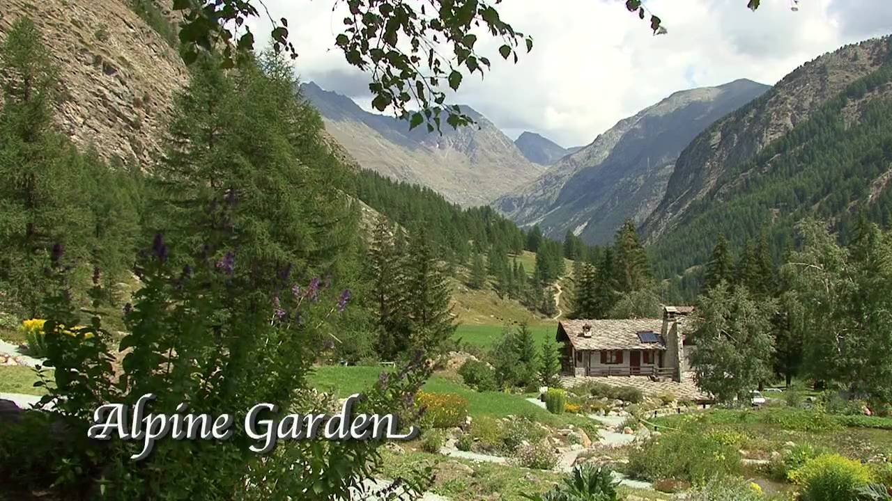 Alpine garden - YouTube