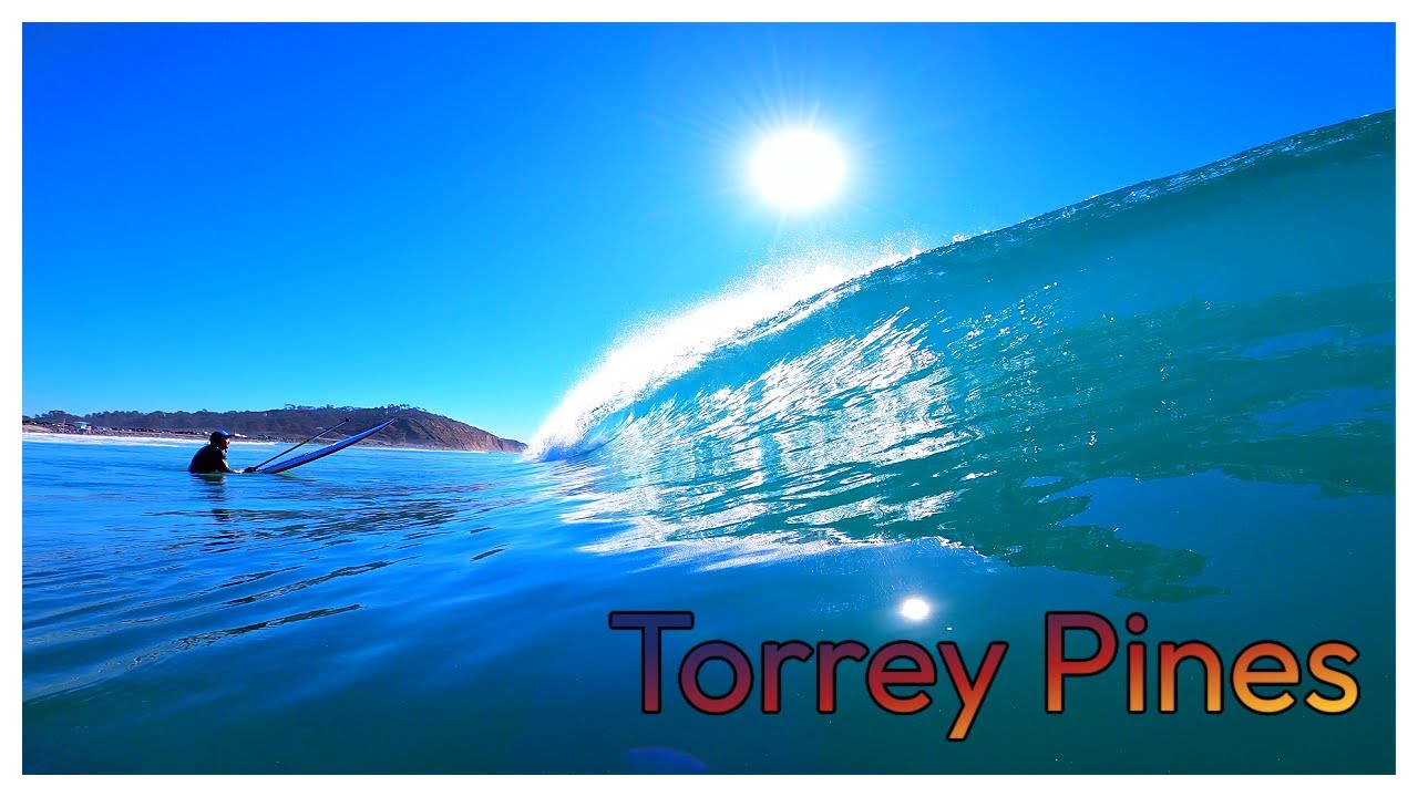 Surf Report Torrey Pines