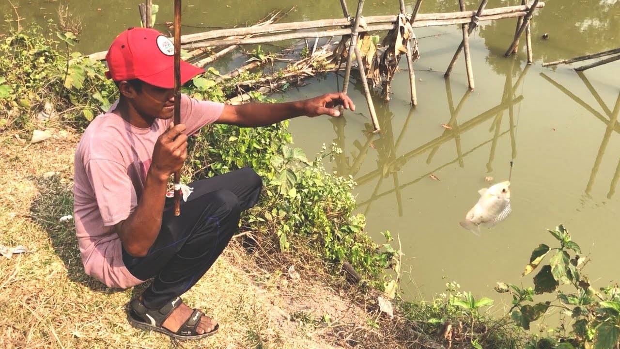 Modern methods of fishing with a spear || Fish BD Fish - YouTube