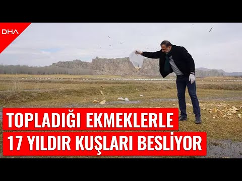 Topladığı ekmek kırıntıları ile 17 yıldır kuşları besliyor