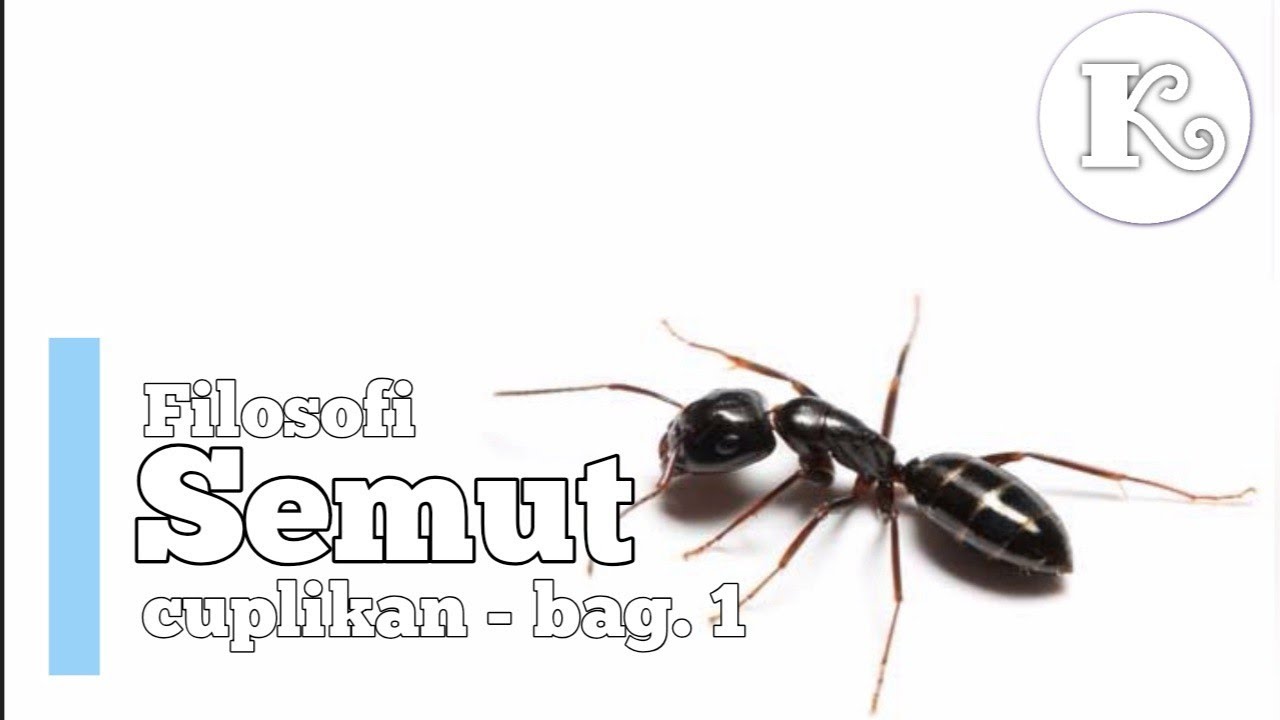 Filosofi semut #KlinemCahaya - YouTube