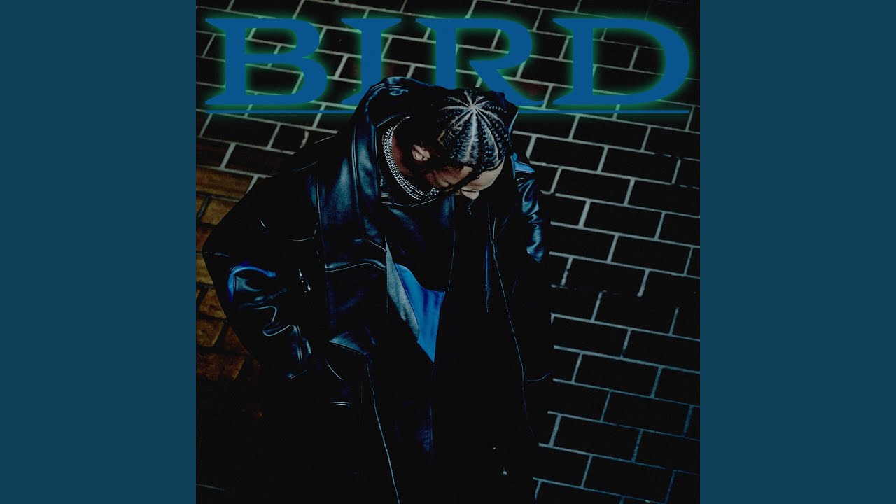 Bird - YouTube