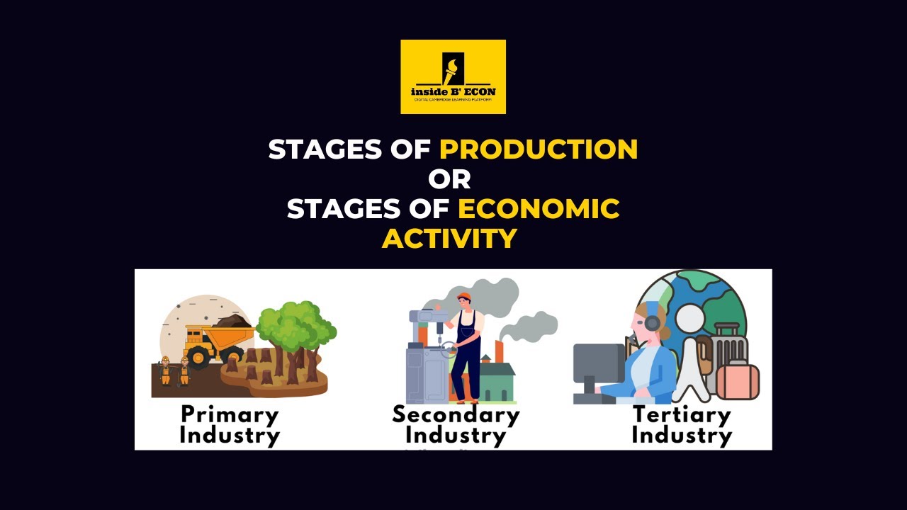 Stages of Economic Activity Explained | Primary, Secondary, and ...