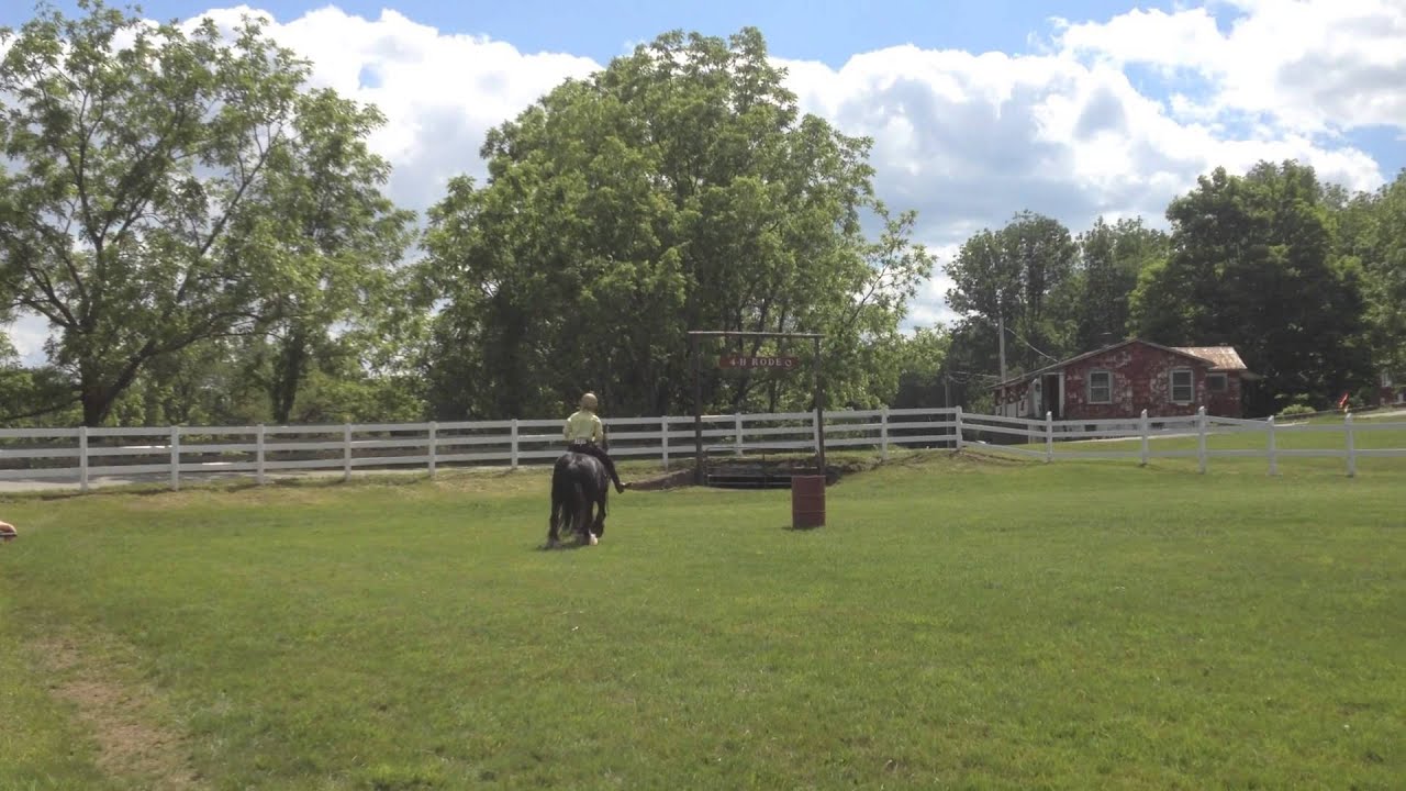Bareback, Bitless, "Barrel Racing" - YouTube