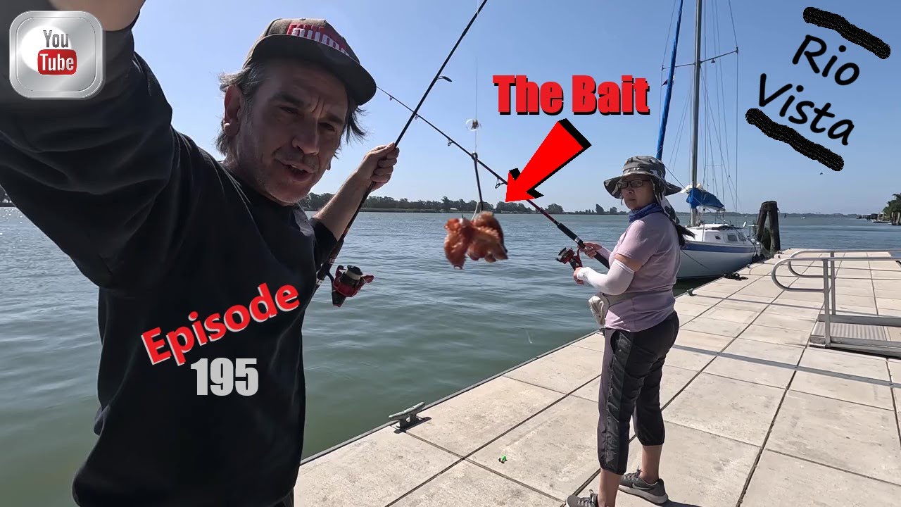 Fishing Rio Vista Dock Sacramento River Striper Run! - YouTube