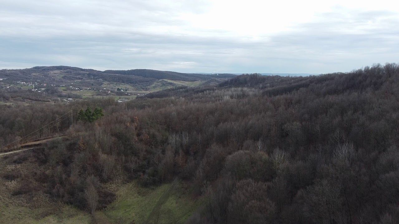 Forest Clearing Uncovered: A Revealing Aerial Discovery - YouTube