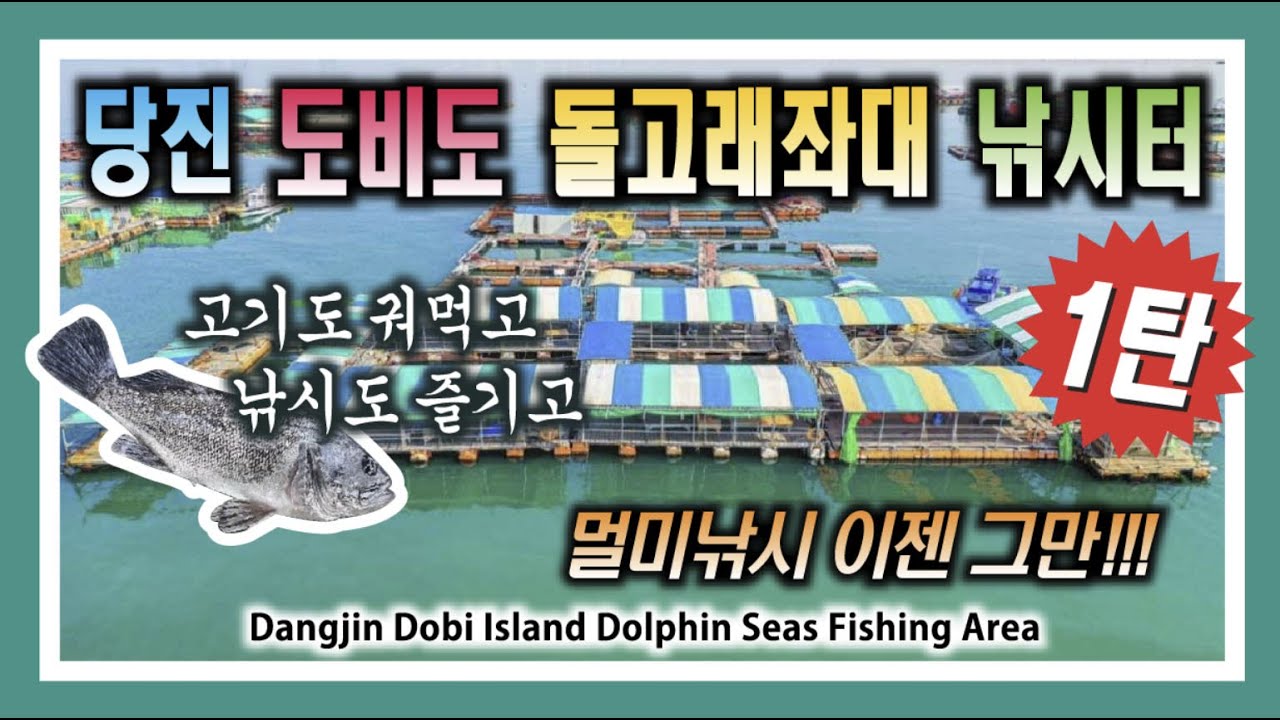 당진 도비도 돌고래좌대 1탄 : 바다에서 자유로운 낚시를 즐기자 : Dobi Island Dolphin Water Fishing ...